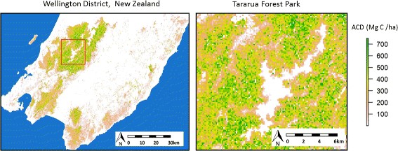 Airborne laser scanning of natural forests in New Zealand reveals the ...