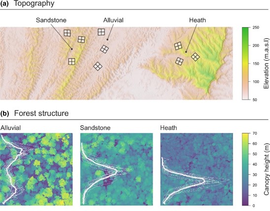 Topography shapes the structure, composition and function of tropical ...