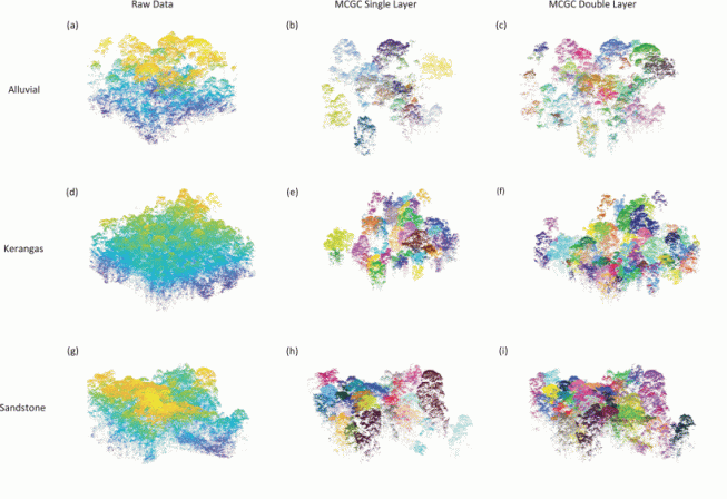 3D Segmentation of Trees Through a Flexible Multiclass Graph Cut ...