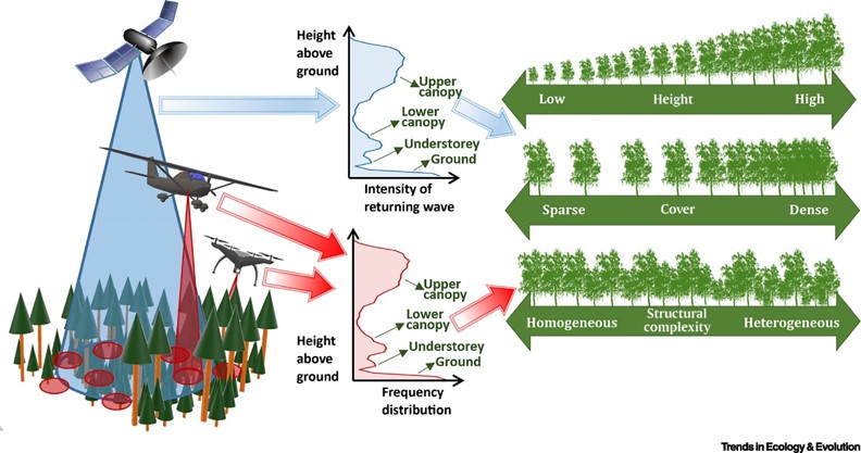 Standardizing Ecosystem Morphological Traits from 3D Information ...